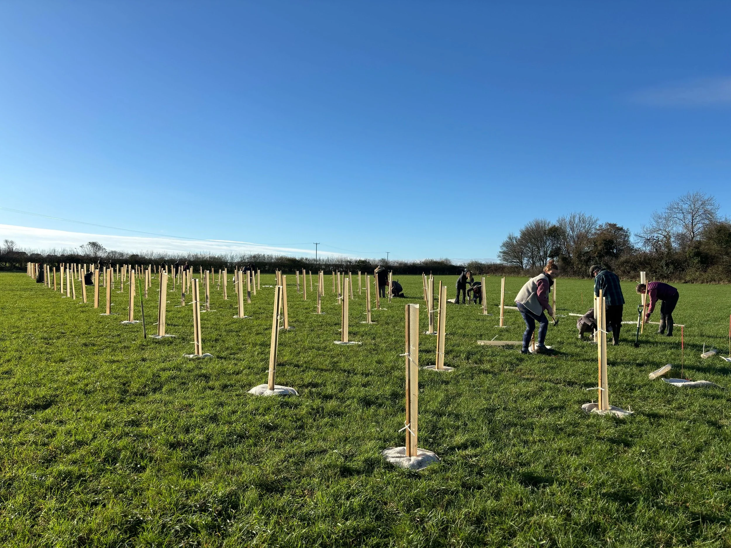 Volunteers wanted to help South Gloucestershire Council plant trees in ...