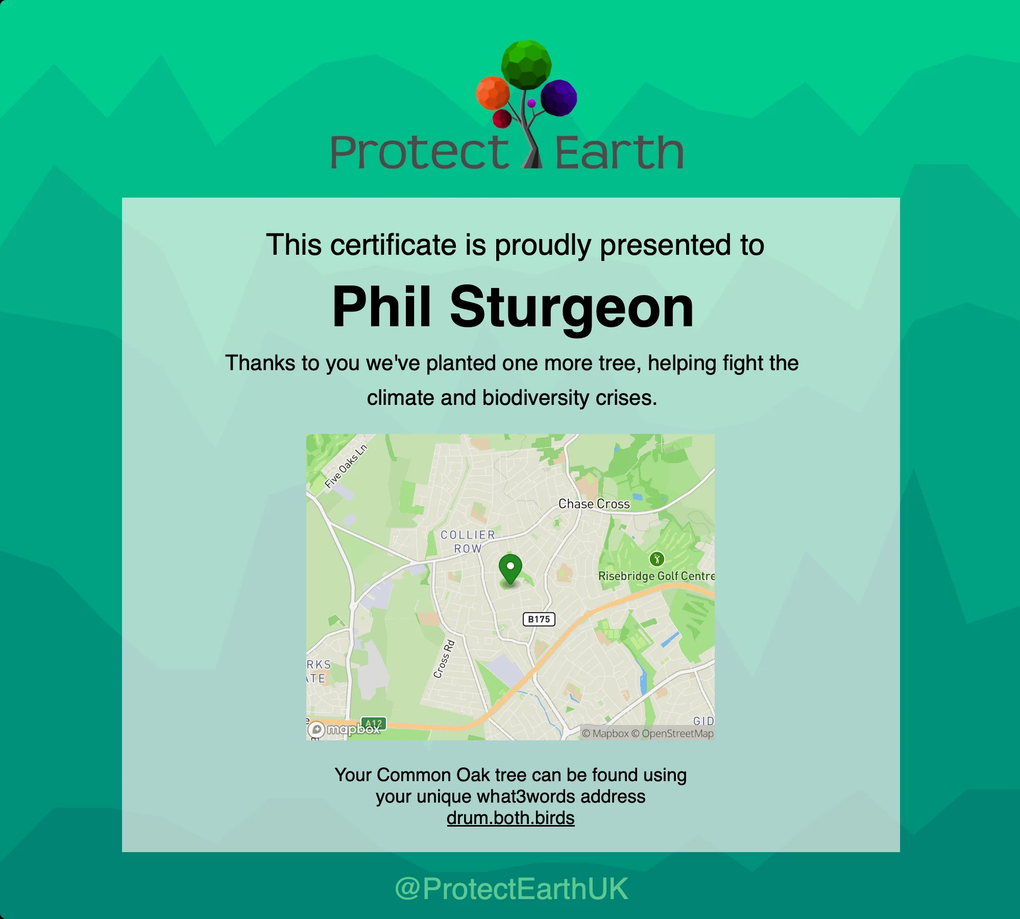 Planting the Future: Support UK Reforestation through Protect Earth's ...