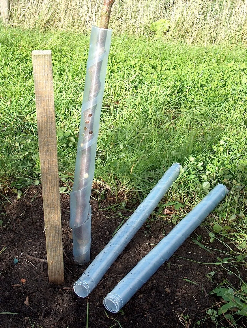 Protect Earth's experience with tree guards - plastics, plastic ...