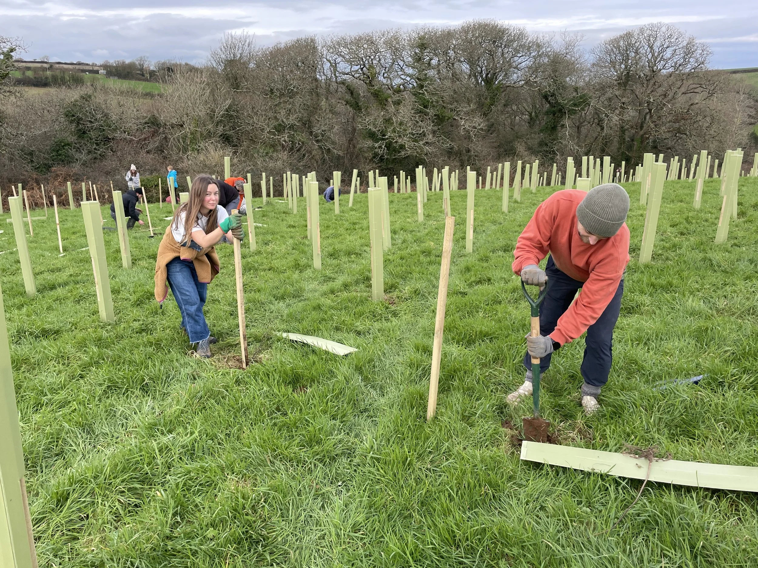 Roskruge Farm: Cultivating Biodiversity on England's Lizard Peninsula ...