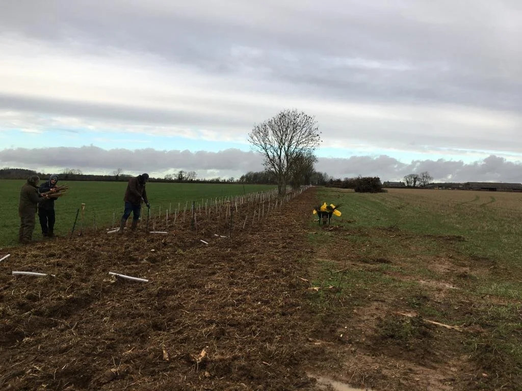 New Milestone Reached: 2,000 Trees Planted — Protect Earth
