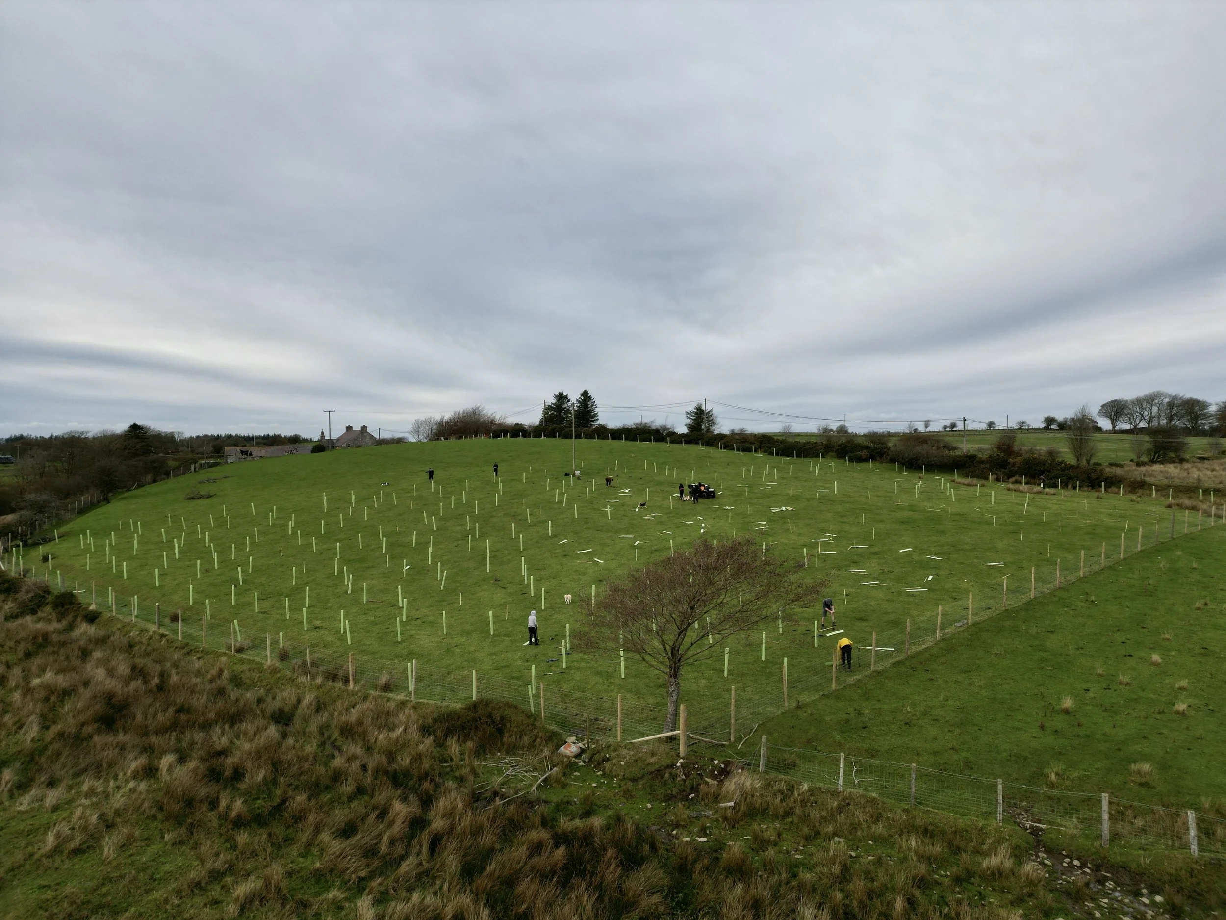 Moat Farm — Protect Earth