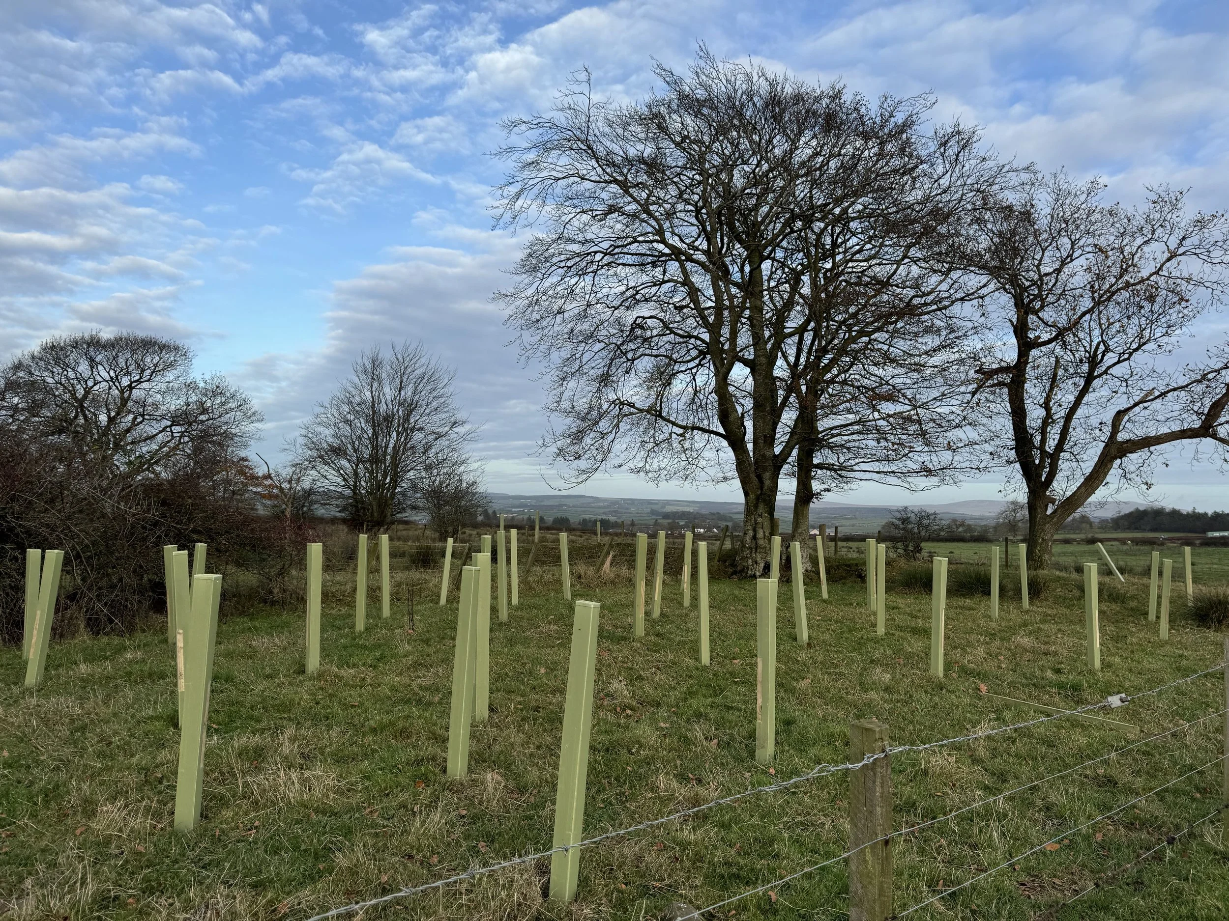 Protect Earth's first Scottish shelterbelt project takes off — Protect ...