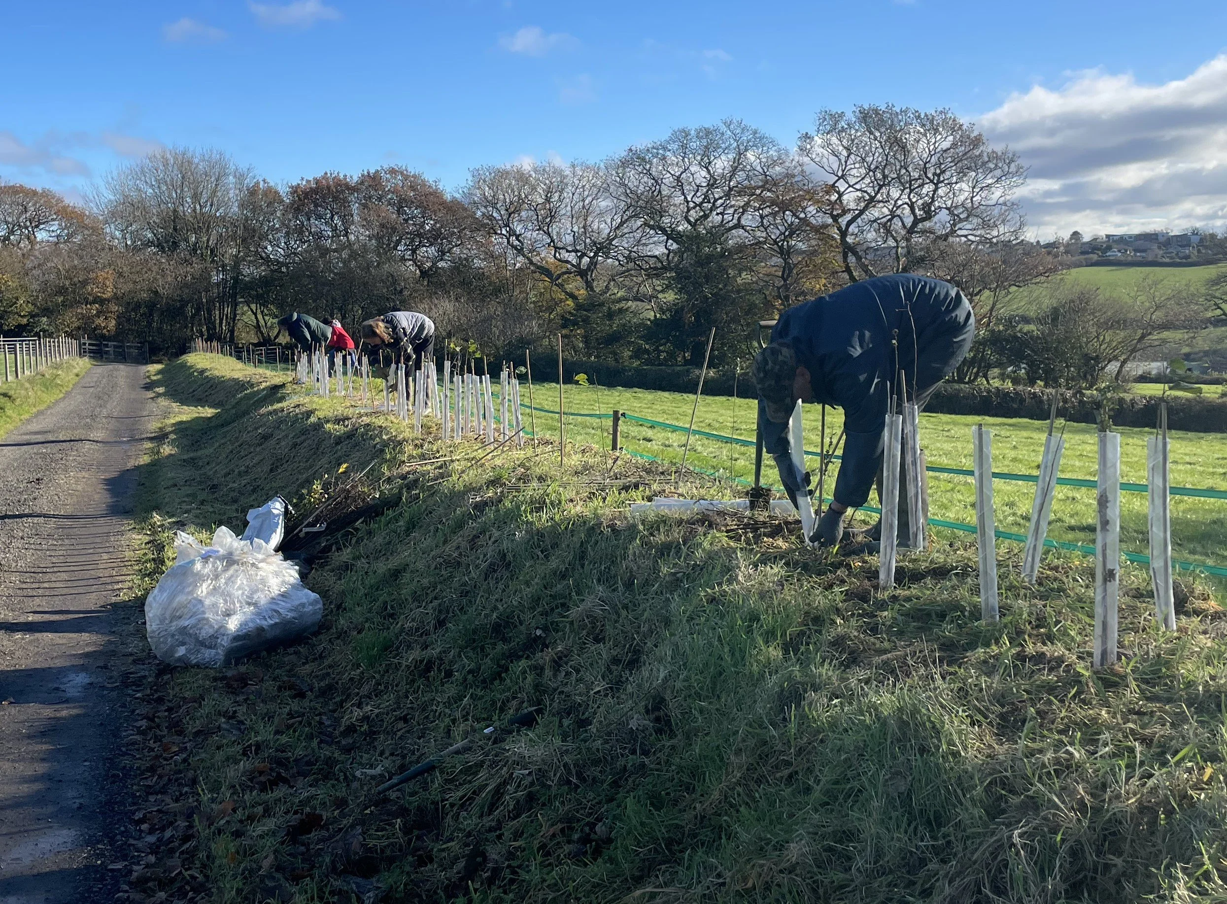 Our Hedge-Laying Courses and Why They Are Important. — Protect Earth