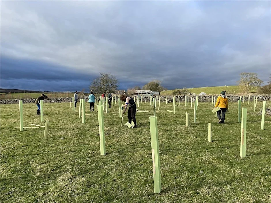 Come plant trees near Indian Queens, Cornwall - day 1 — Protect Earth
