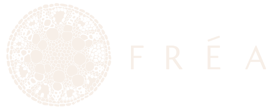 Fréa - Culturally Sensitive Support for Vulnerable Irish People in the ...