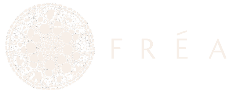 Fréa - Culturally Sensitive Support for Vulnerable Irish People in the ...