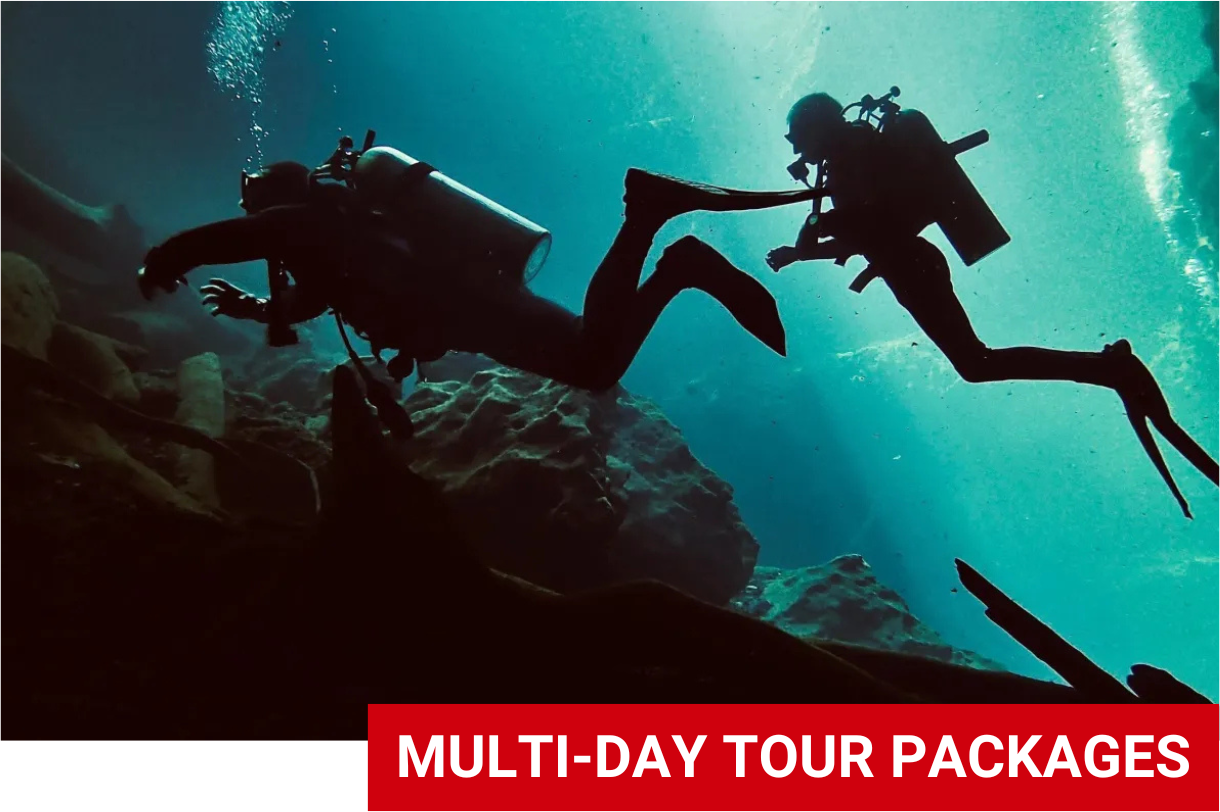 American Pro Dive Center | Dive Into Adventure