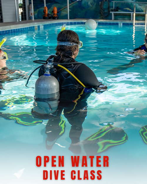 American Pro Diving Center