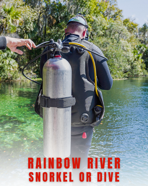 American Pro Dive Center | Dive Into Adventure