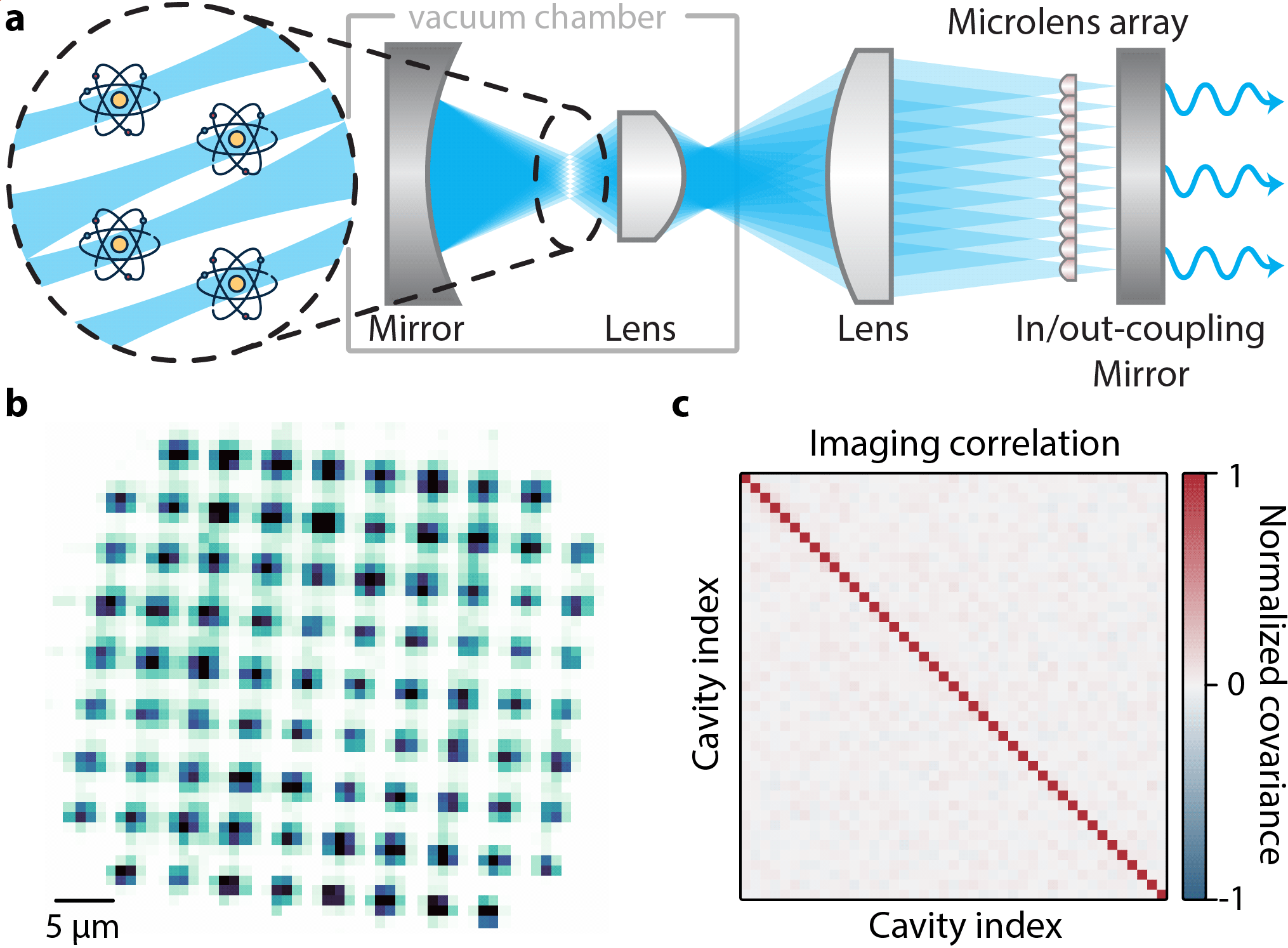 publications — jaffe lab