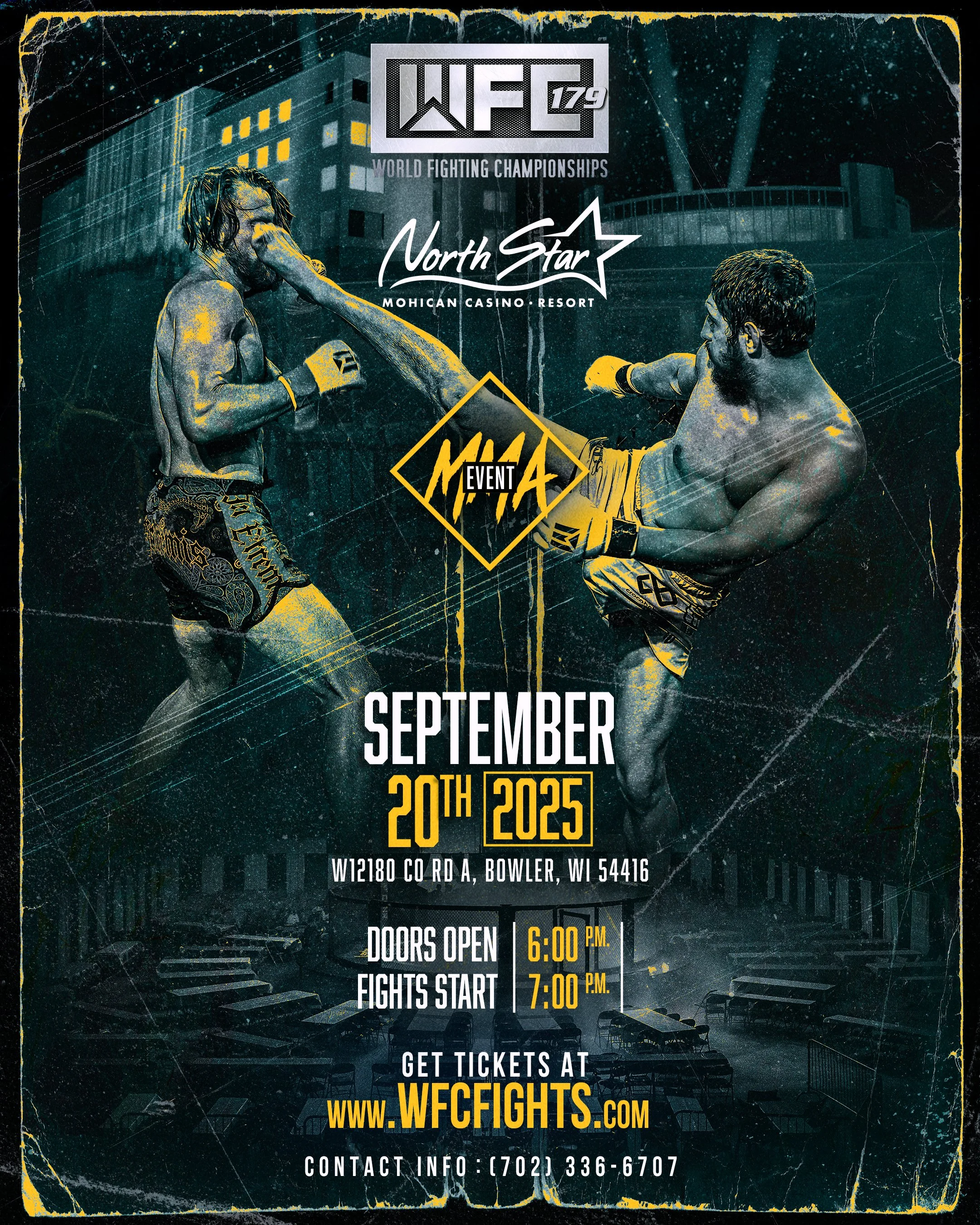 WFC: World Fighting Championships