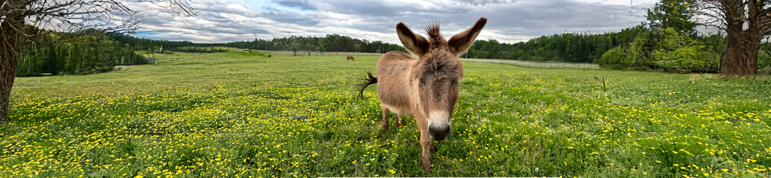 Contact Us — Sweetwater Farms