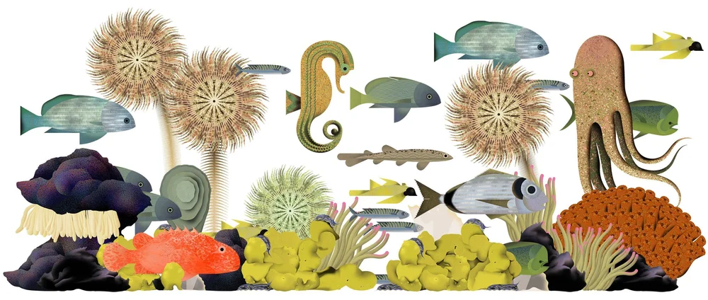 Prebivalci tvojega morja — YOU(R)SEA