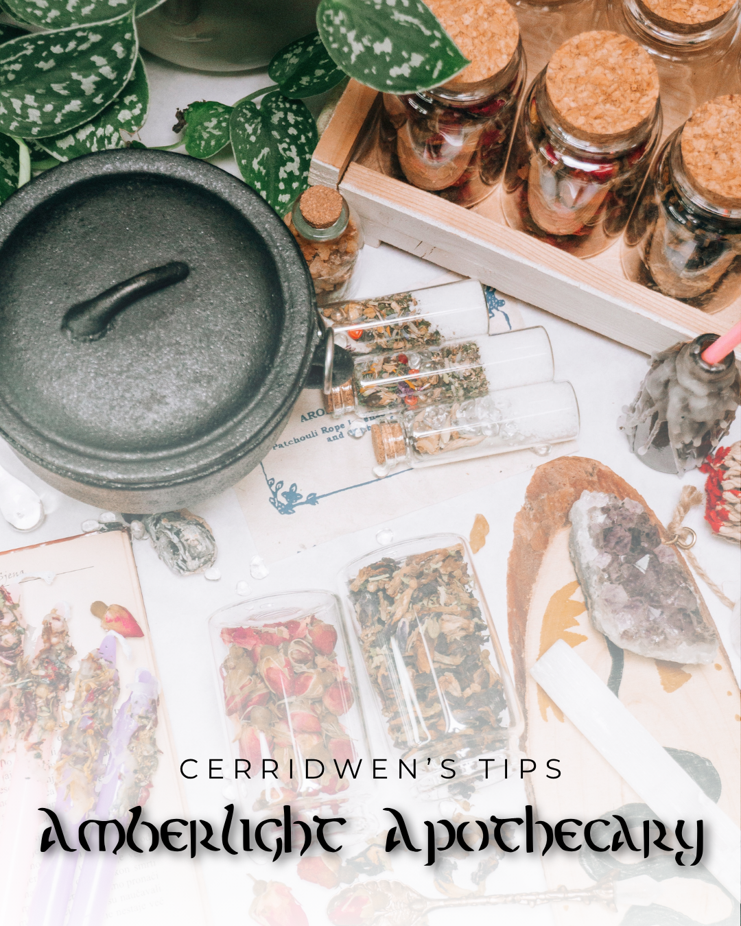 From the Amberlight Apothecary: Herbal Self-Care Rituals — Dalea Faulkner