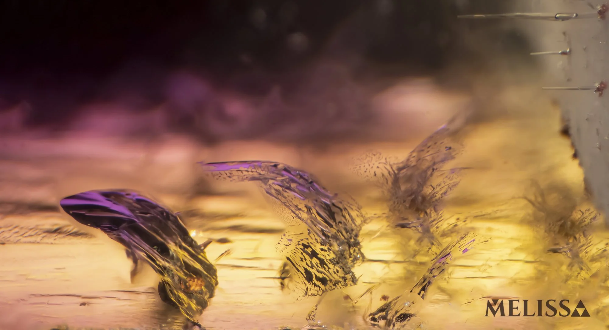 Explore The Beauty And Diversity of Quartz Inclusions
