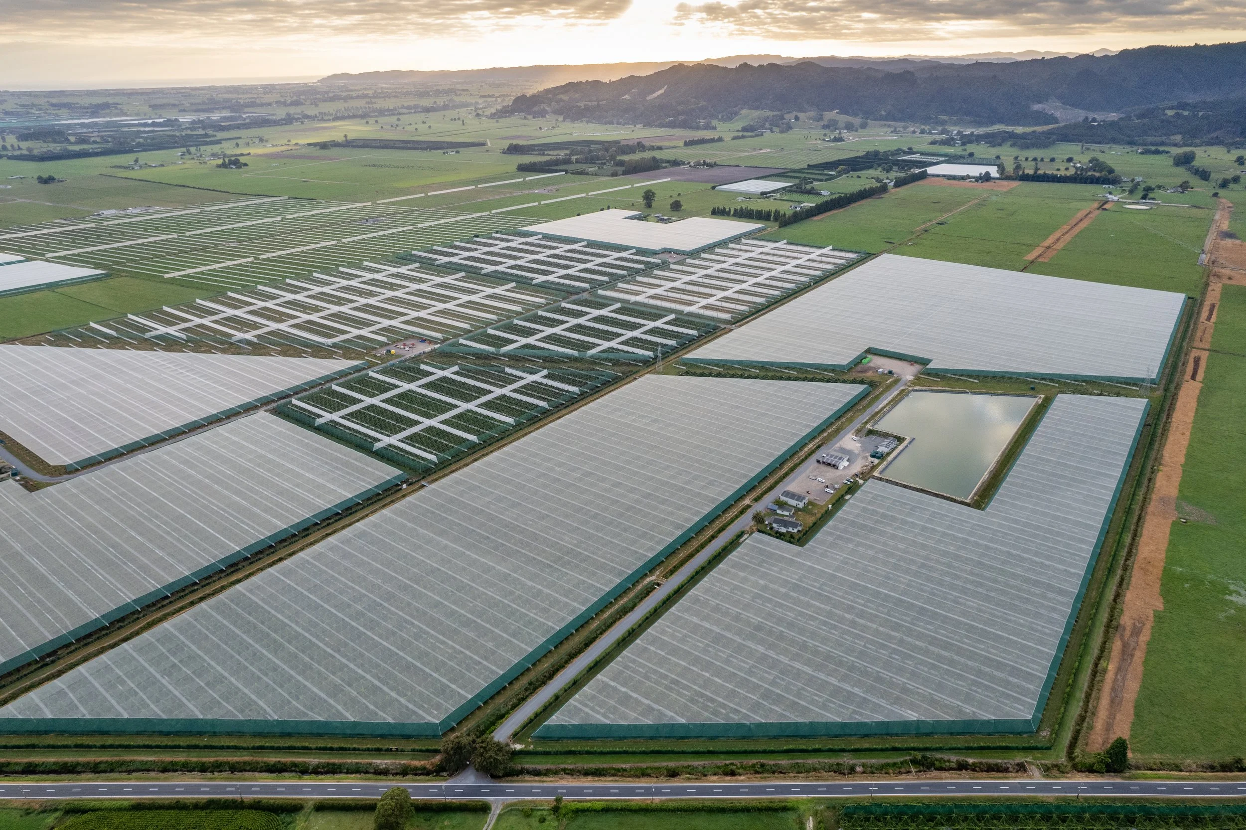 Eastern Rise | Stratum Consultants | Bay of Plenty Engineers, Planners & Surveyors