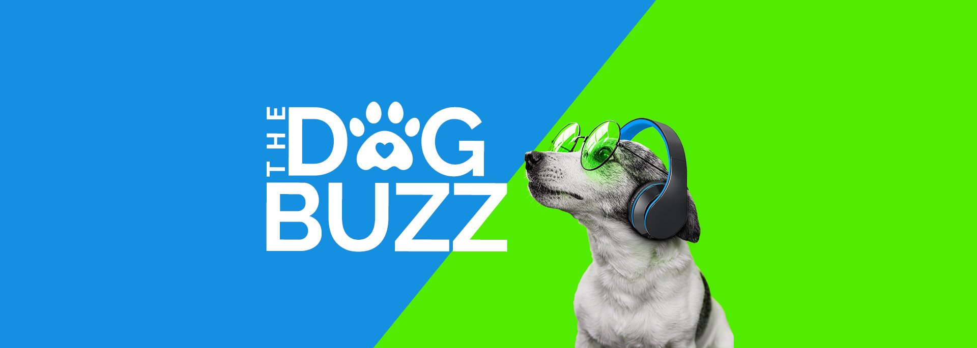 The Dog Buzz Video | Dog Grooming Guides and Basics