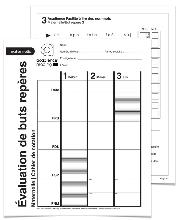 Reading Assessments — The Educators' Playground