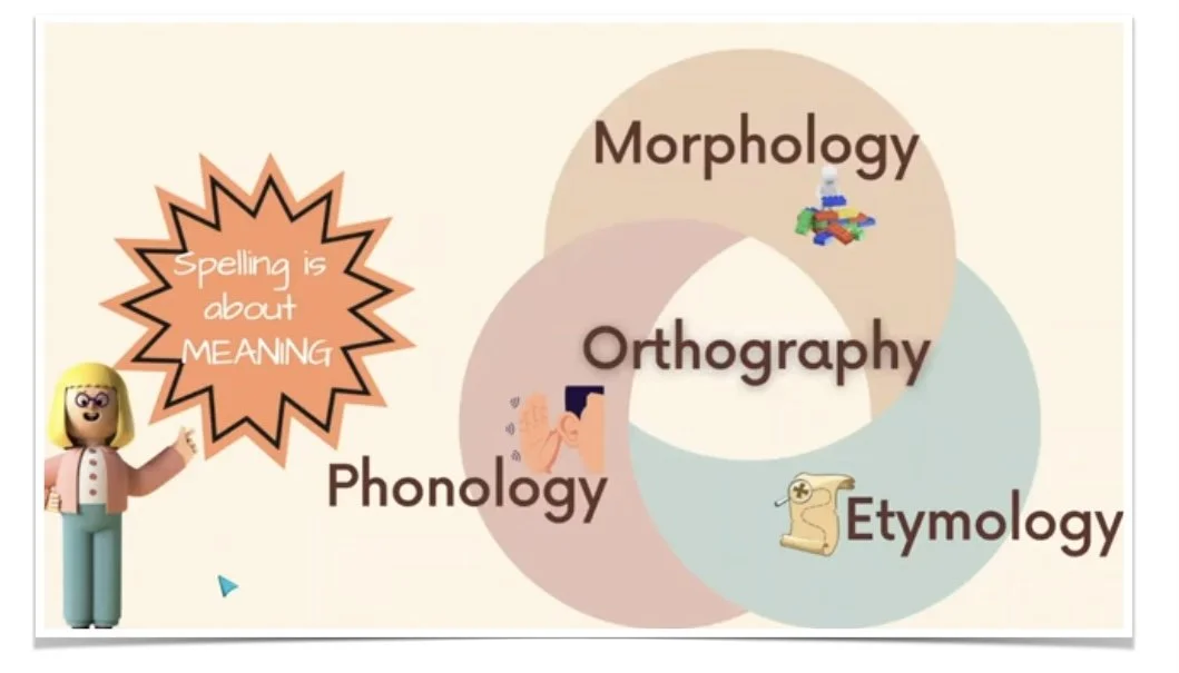 Morphology — The Educators' Playground