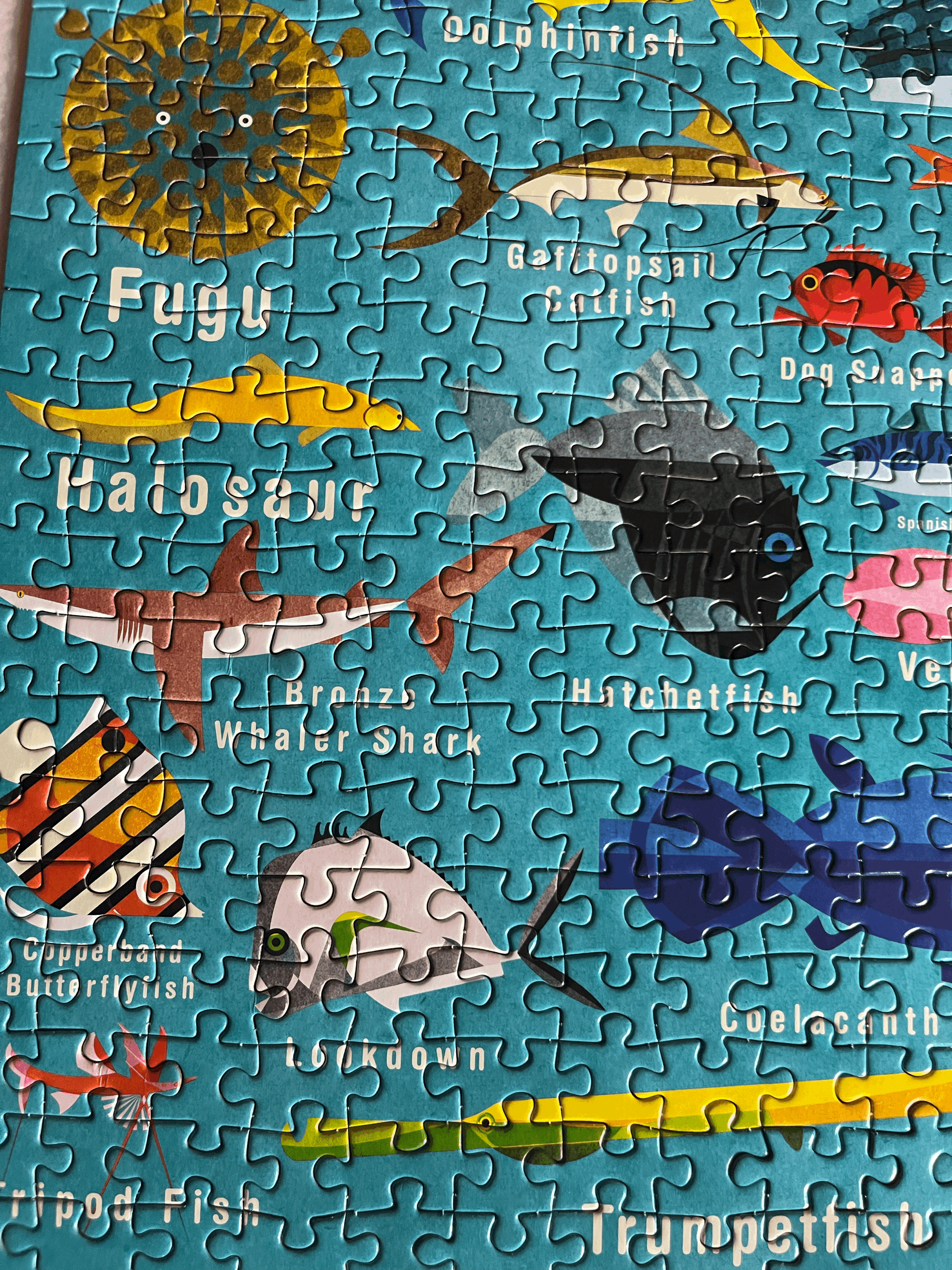 Jigsaws, puzzles — puzzle madness uk