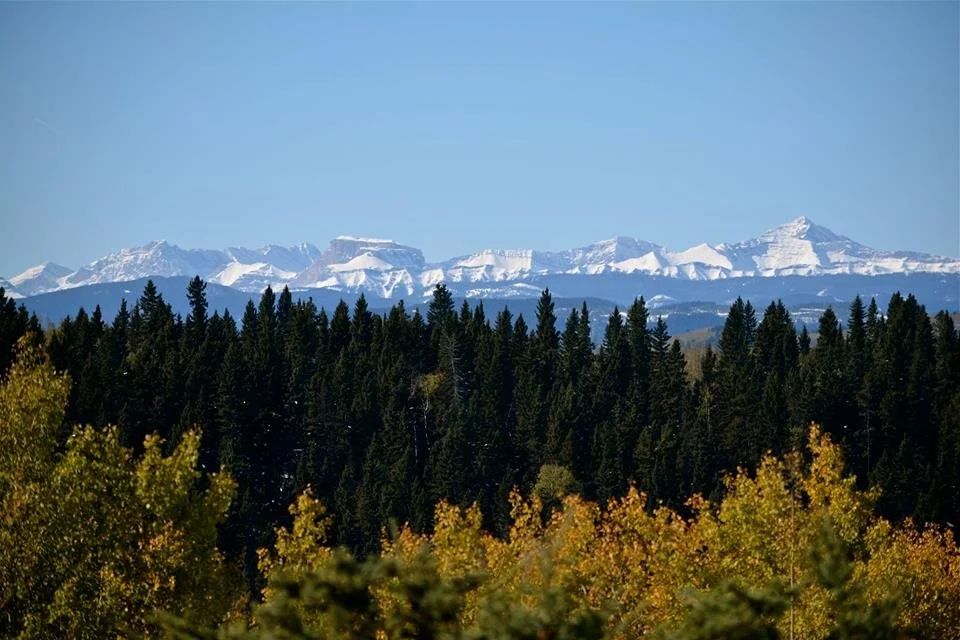 Priddis Greens Community Association