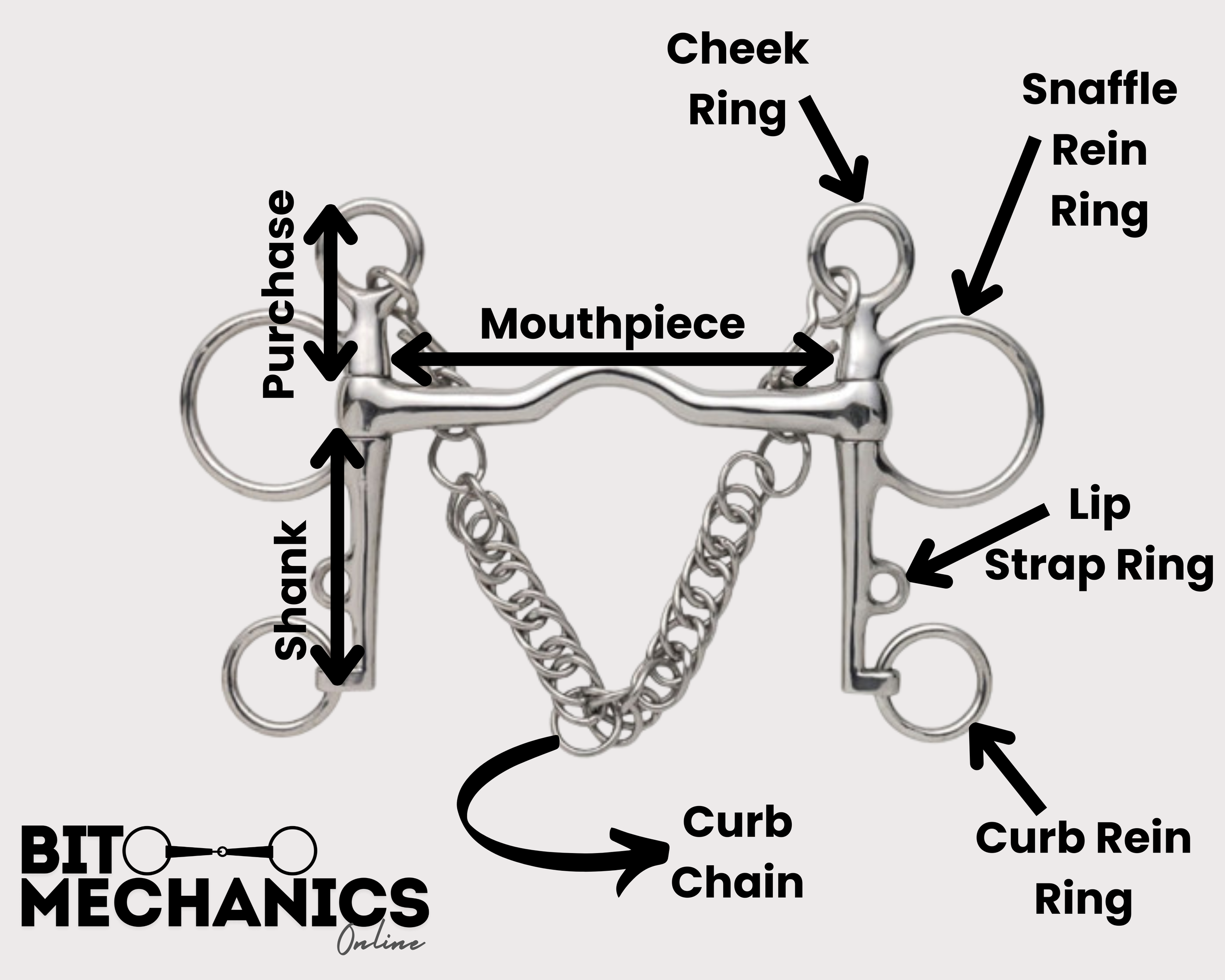 The Action of Curb Bits — Bit Mechanics Online