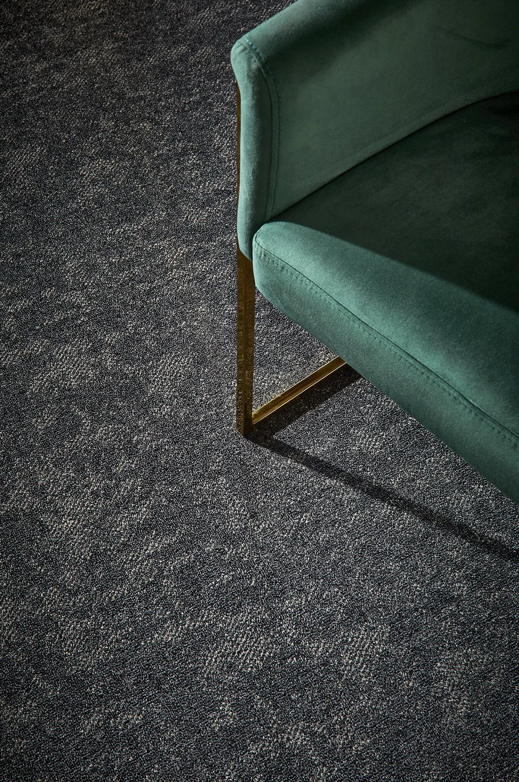 Curious Path by Godfrey Hirst — Factory Carpets and Vinyls