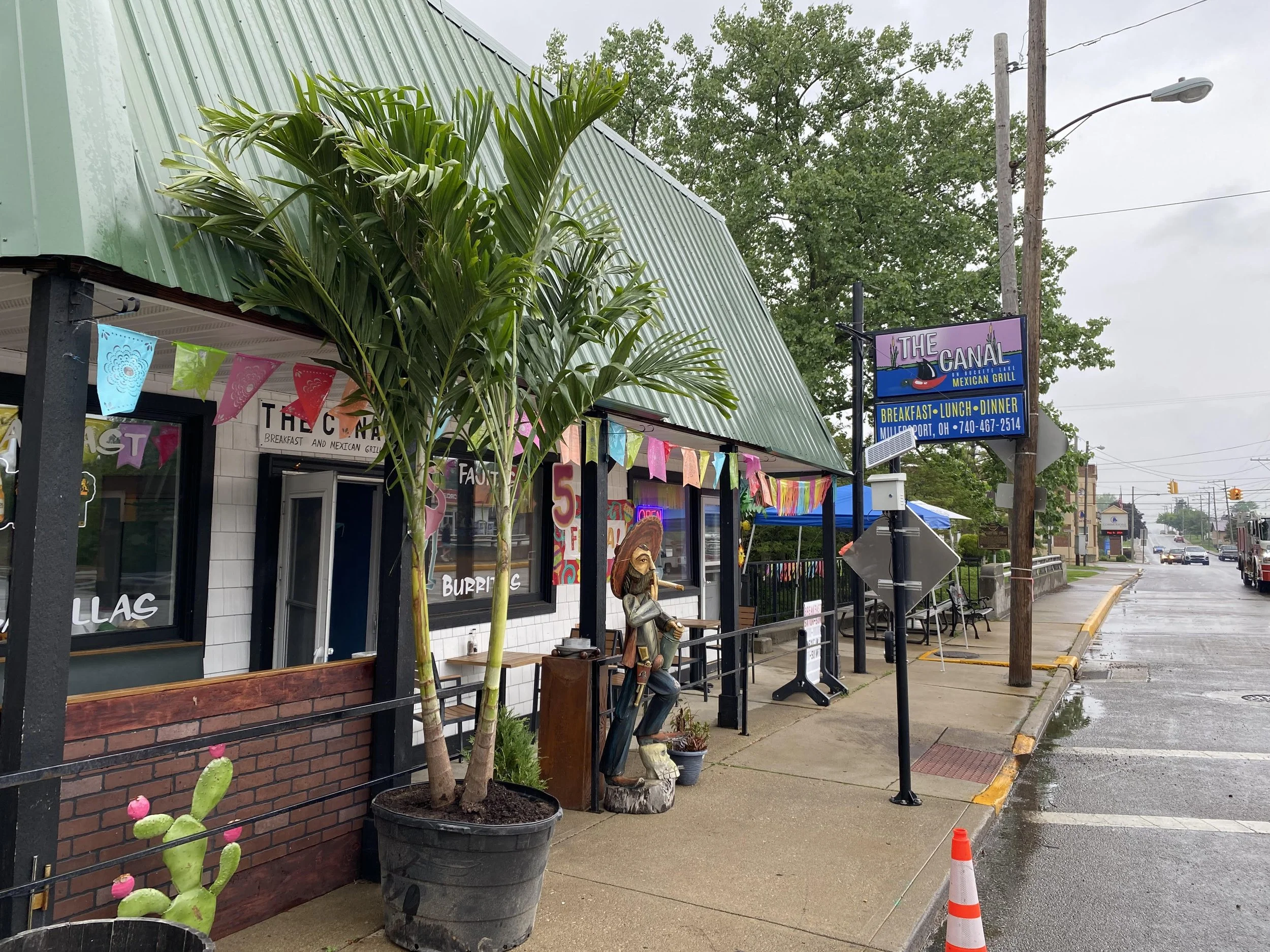 Commercial — Ohio Palm Trees