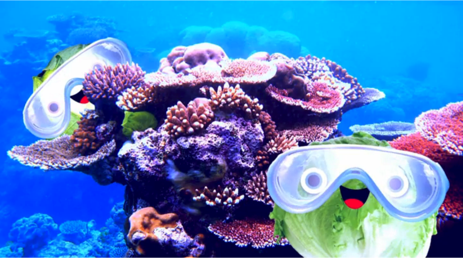 Don’t Mix Us Up — FableVision Studios