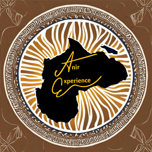 Who We Are — Anir Experience