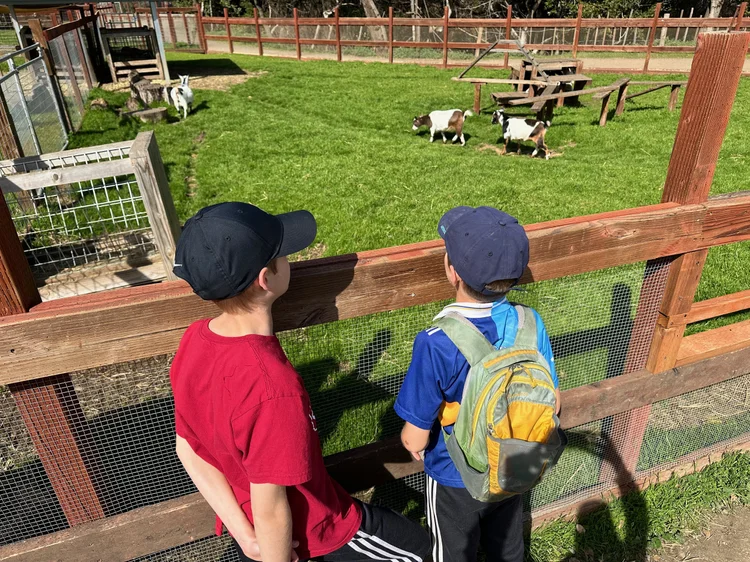 Visitor Information — Friends of Deer Hollow Farm