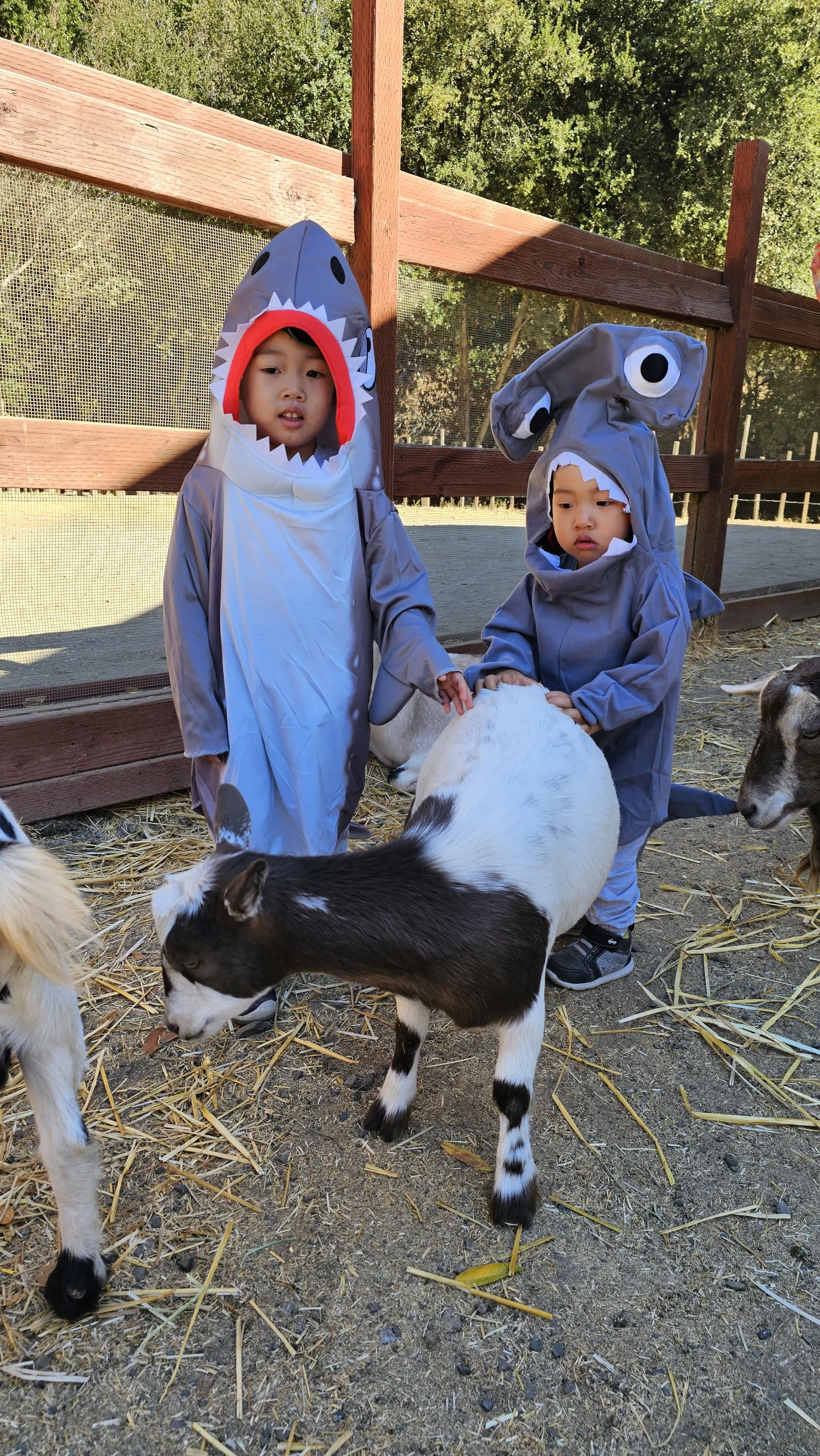 Special Events — Friends of Deer Hollow Farm