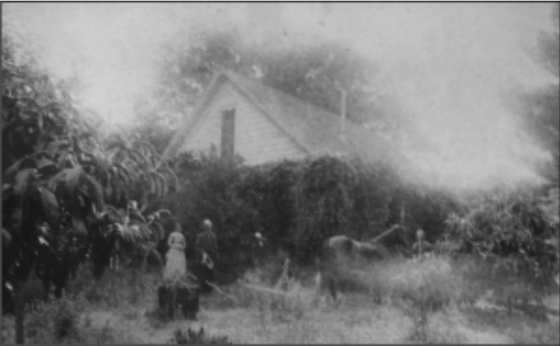 History — Friends of Deer Hollow Farm