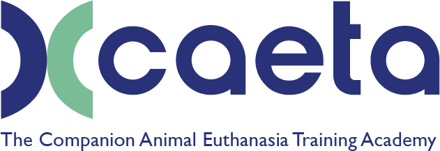Paws Over the Rainbow - In Home Euthanasia