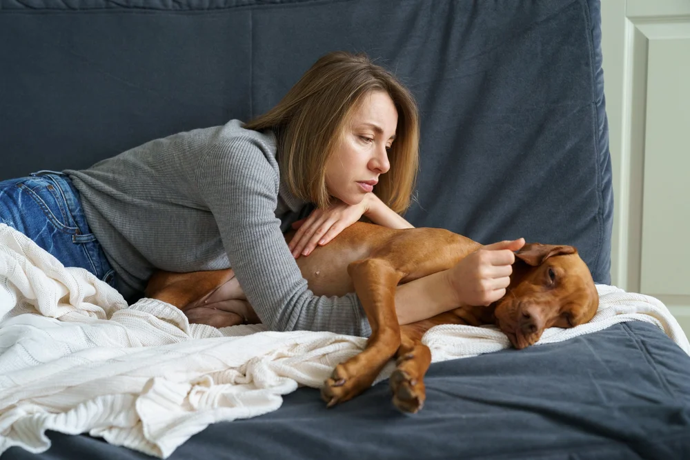 Paws Over the Rainbow - In Home Euthanasia