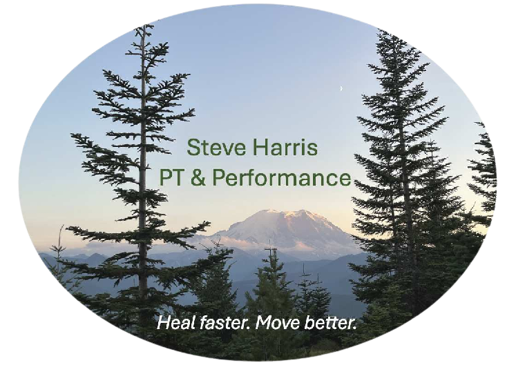 Steve Harris PT & Performance | Heal faster. Move better.