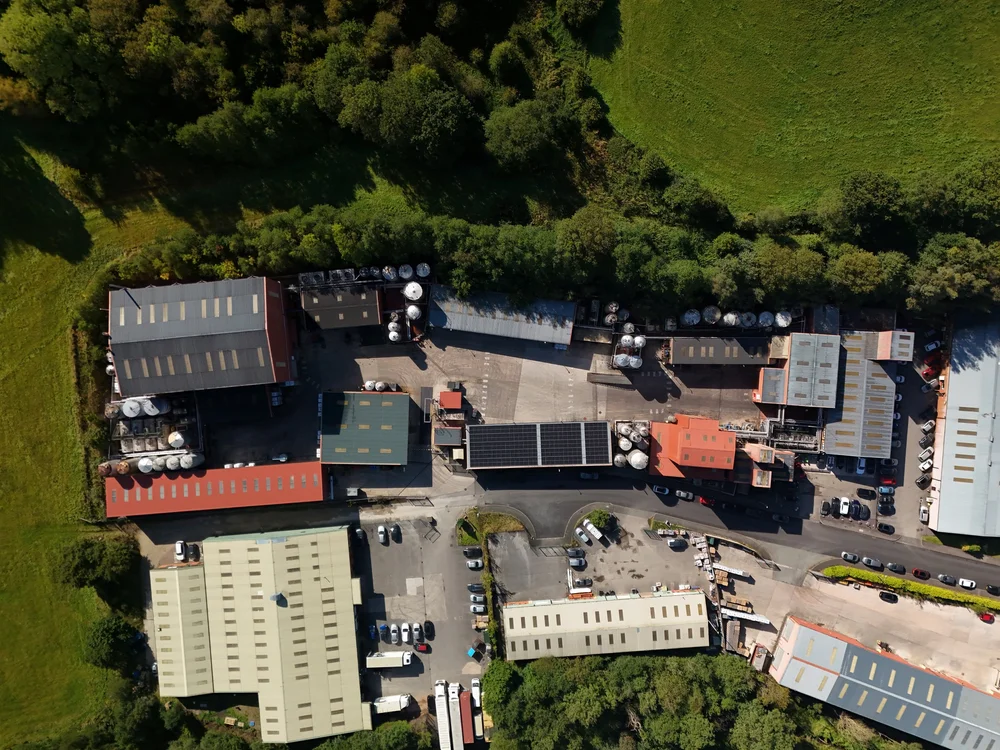 PEG Esters — Esterchem