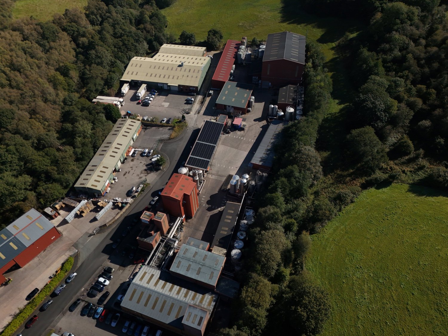 Sorbitan Esters — Esterchem