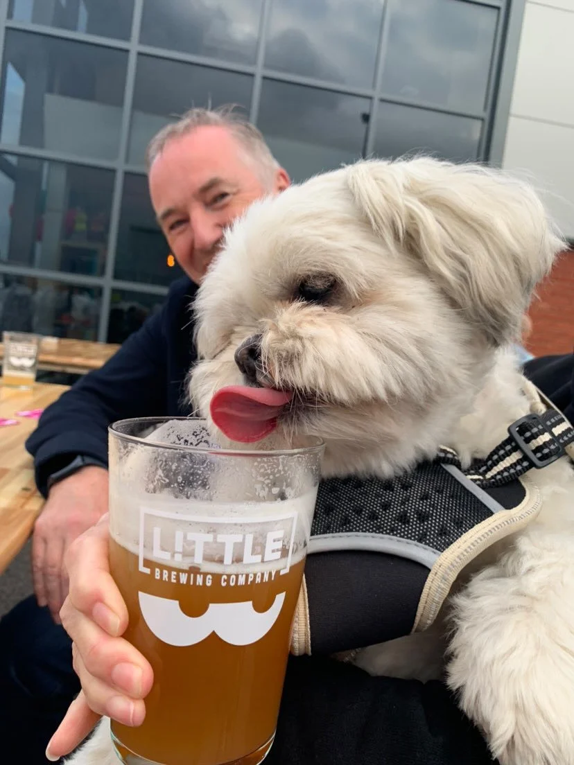 Little Brewing is an award winning gluten-free brewery in Derby.