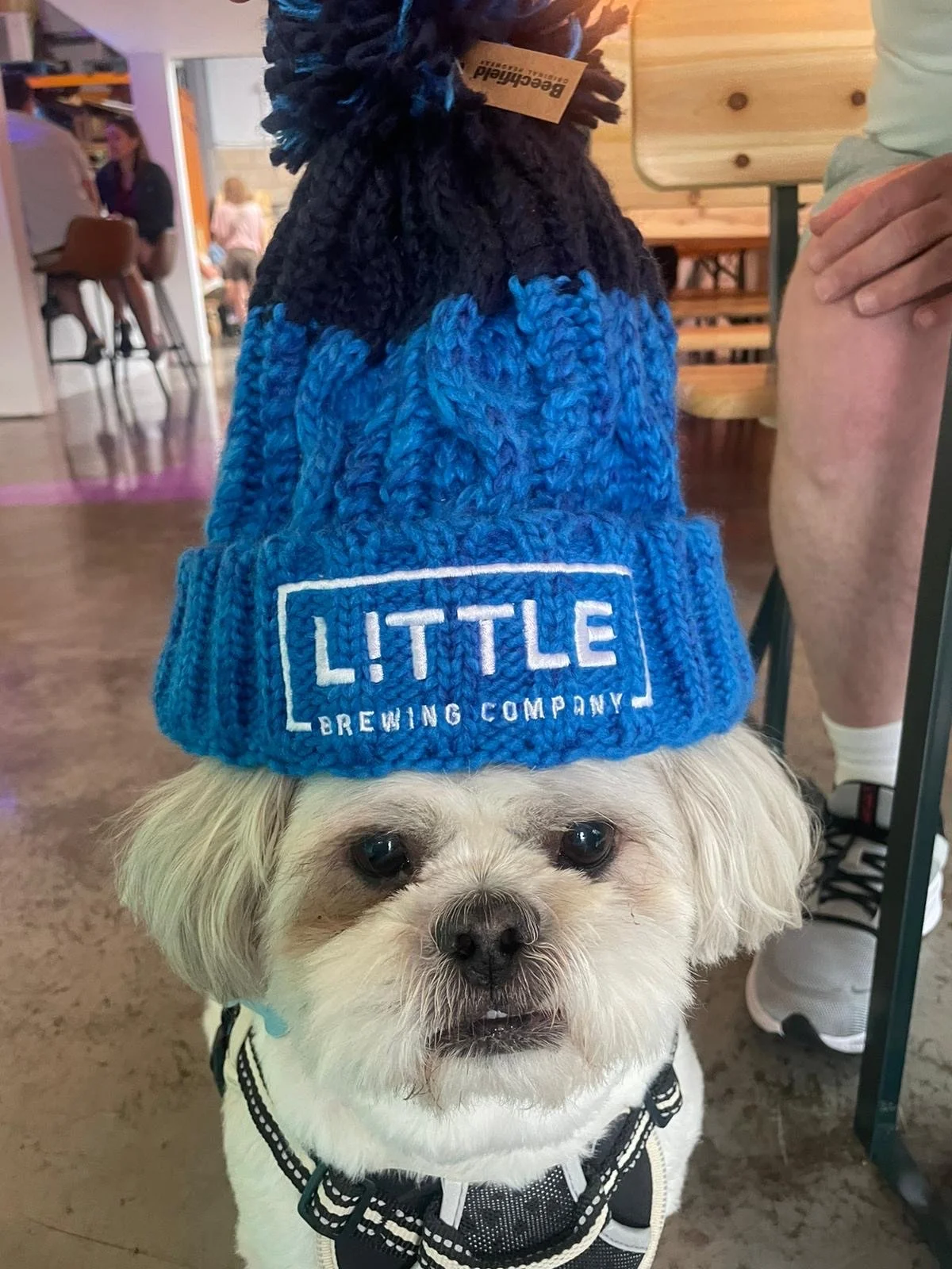 Little Brewing is an award winning gluten-free brewery in Derby.