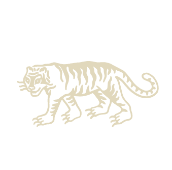 ABOUT — Tiger Sun