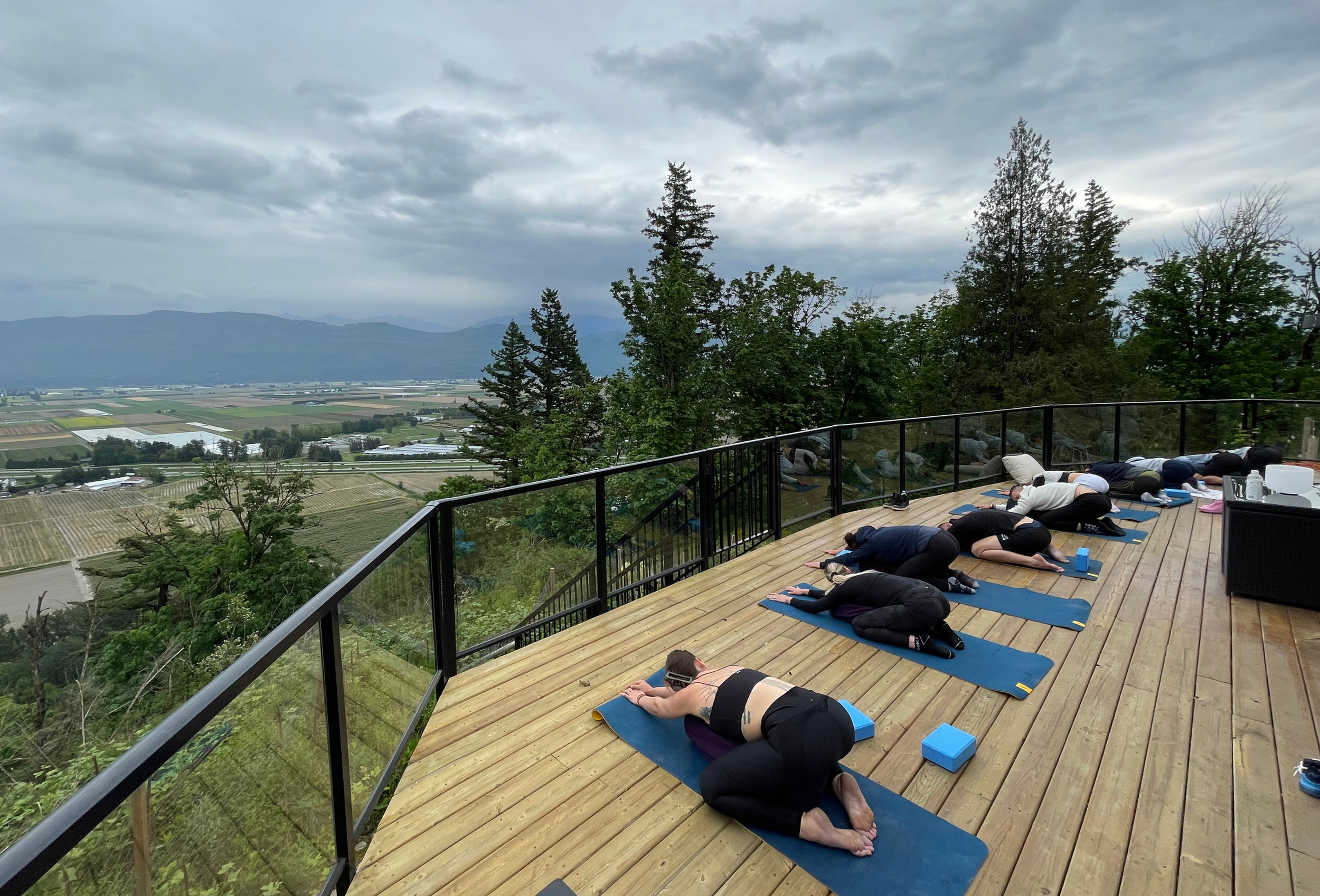 Primal Power Wellness Retreat – Abbotsford BC | Full-Day Fitness Event ...