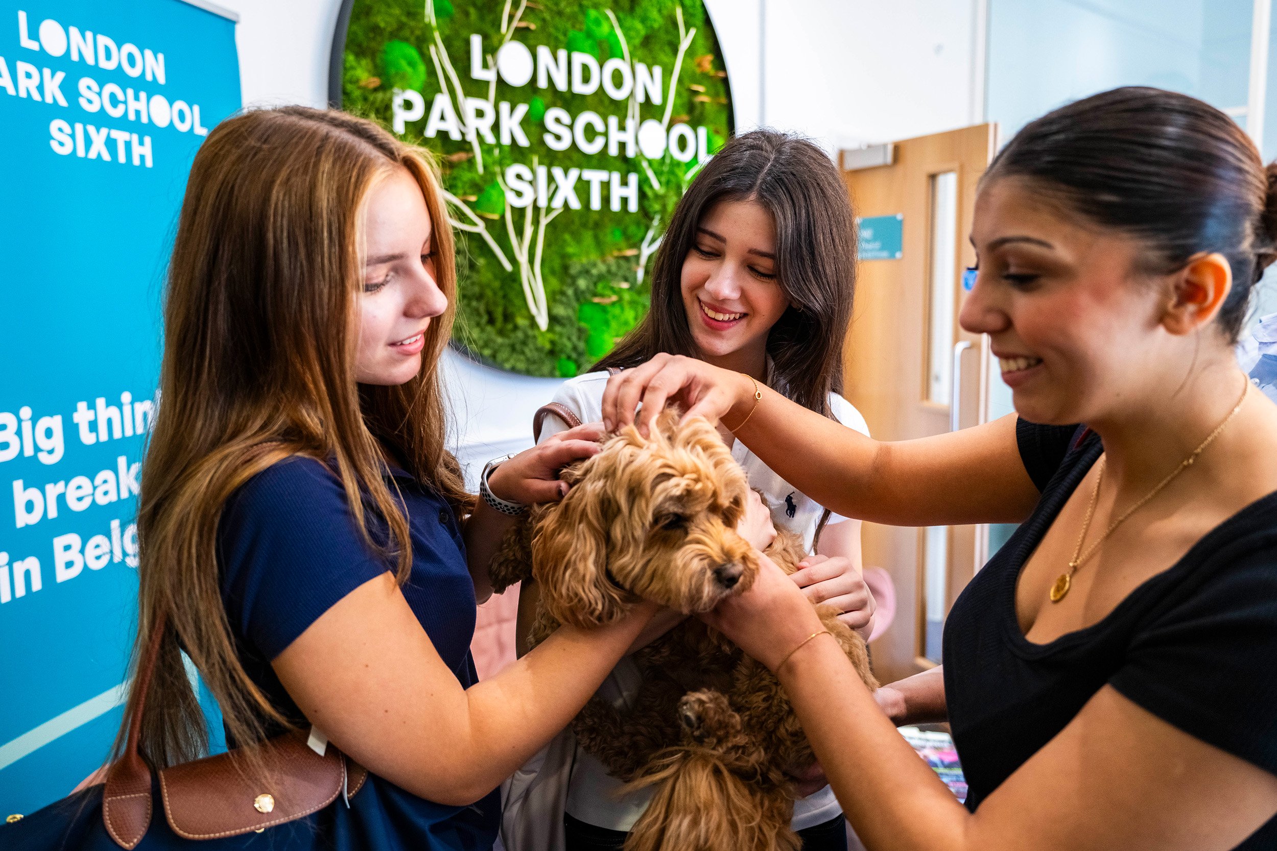 London Park Schools — Dukes Education Partner Portal