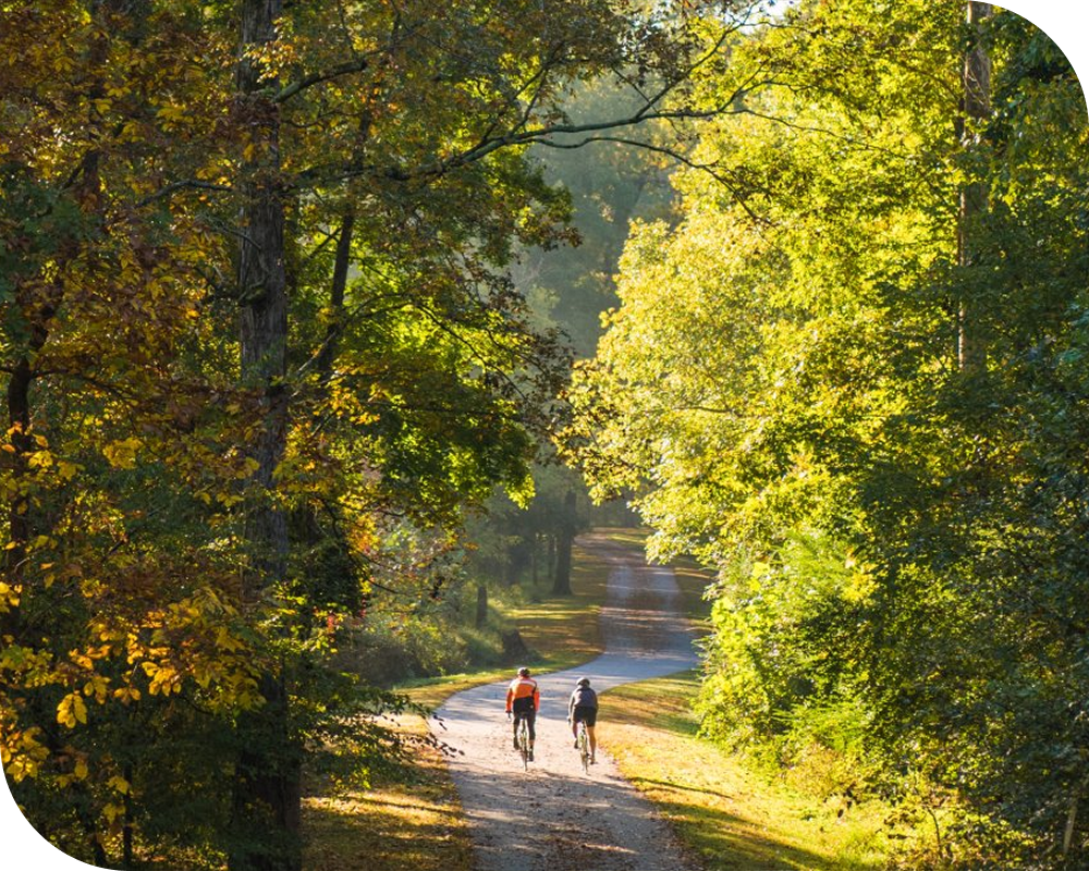 Residential — Apartments For Rent in Raleigh | The Weld