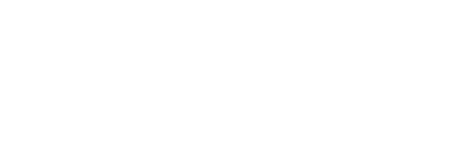 MINT Memory Clinic Symposium and Best Practice