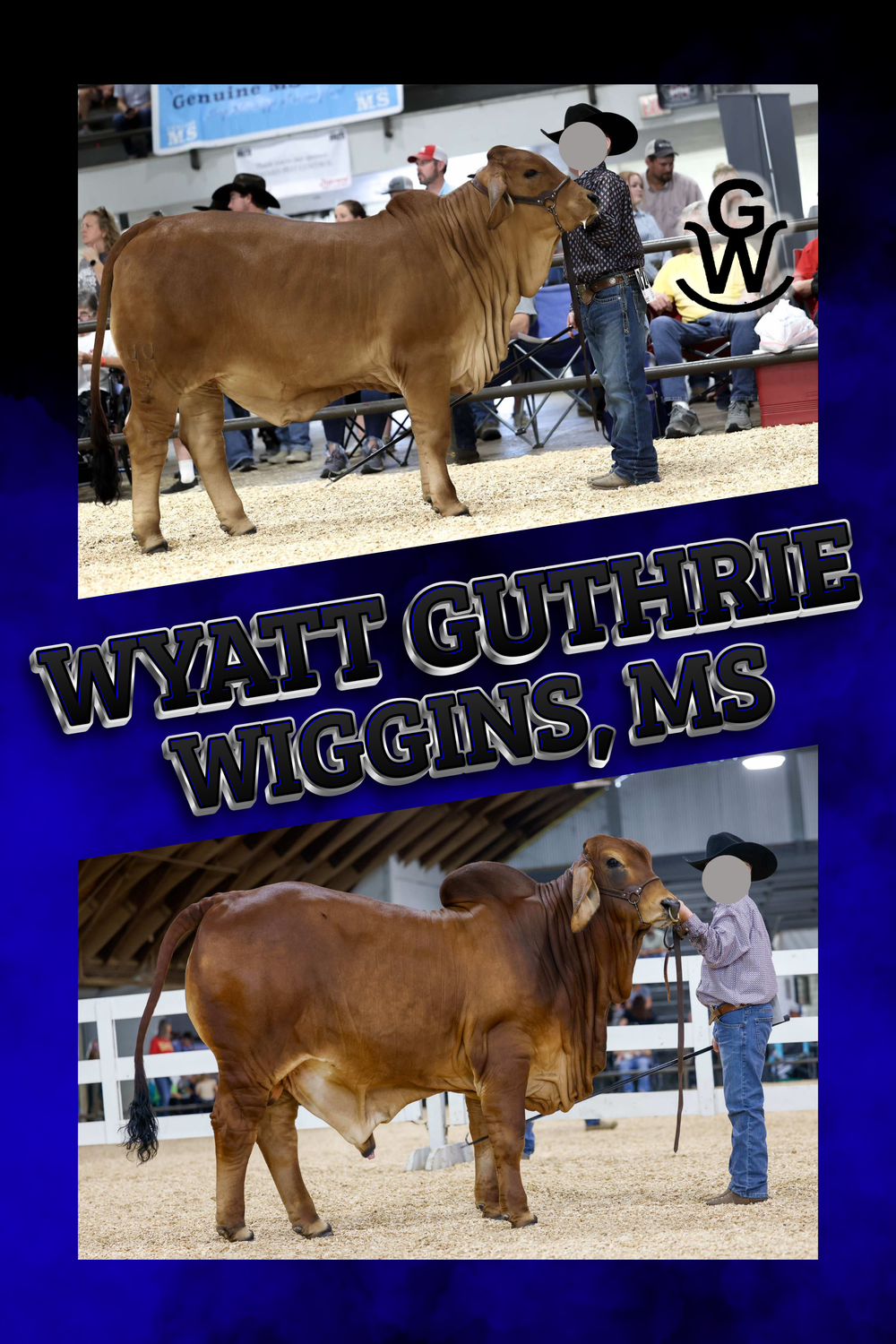 Stock show award banner designs custom created to match your livestock ...