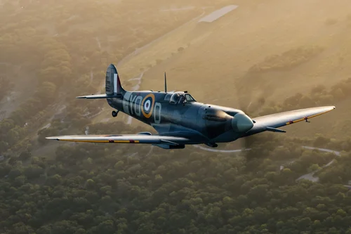 Lewis Air Legends Aircraft — Lewis Air Legends