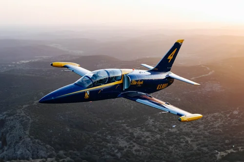 Lewis Air Legends Aircraft — Lewis Air Legends