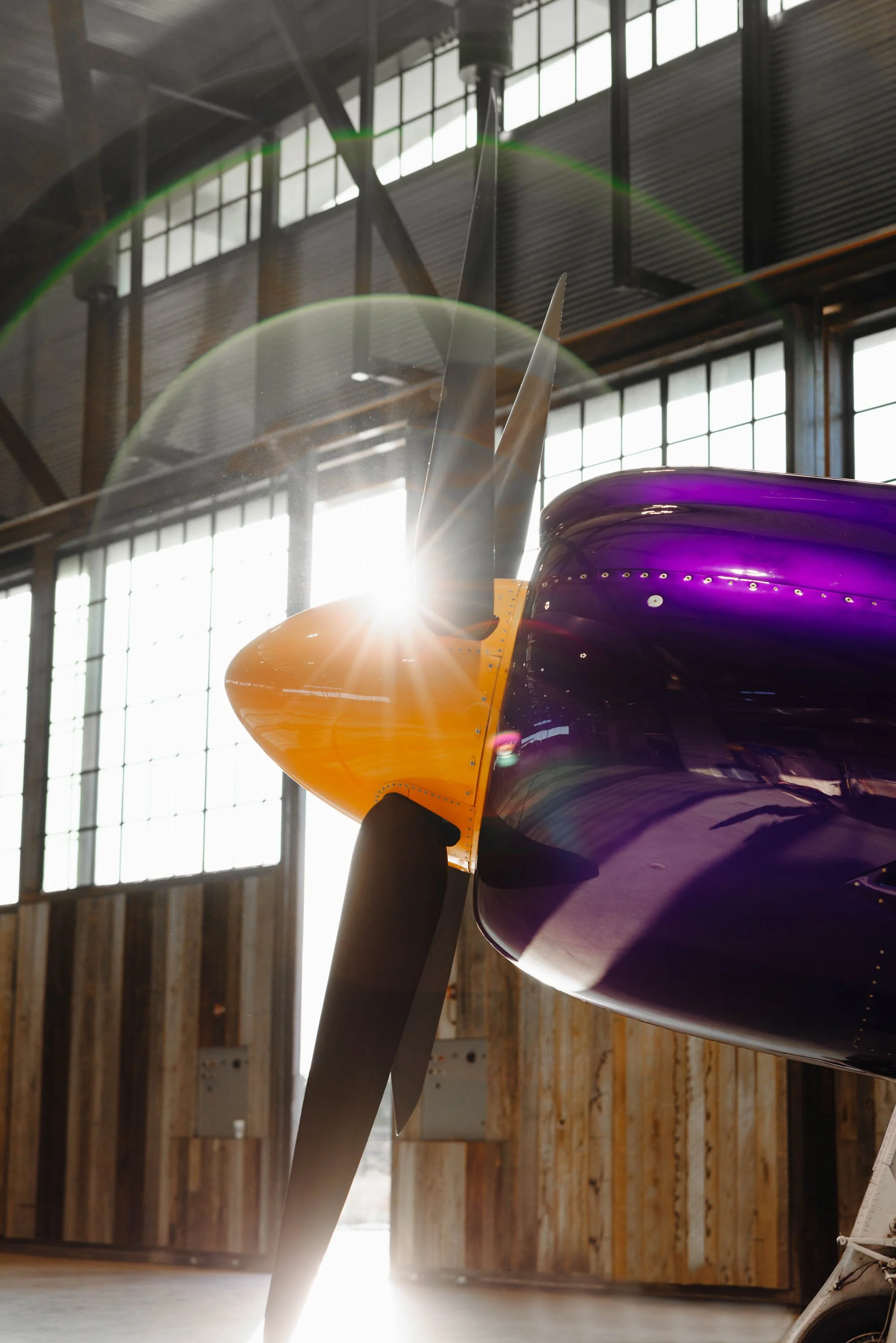 Rare Bear — Lewis Air Legends